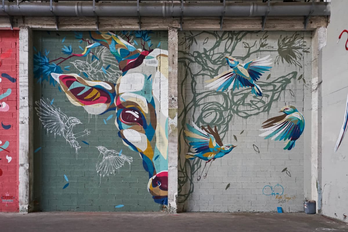 Gorg one : l'artiste réunionnais qui aime peindre sur les murs